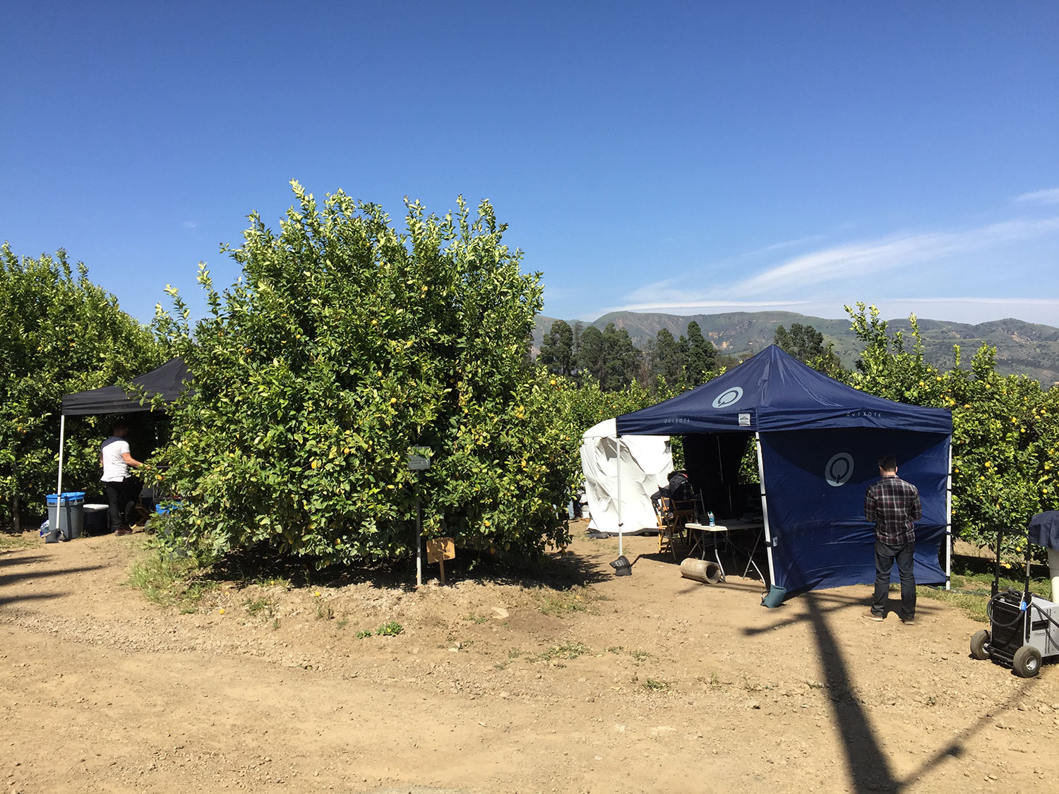Cutting on set – FREDITOR